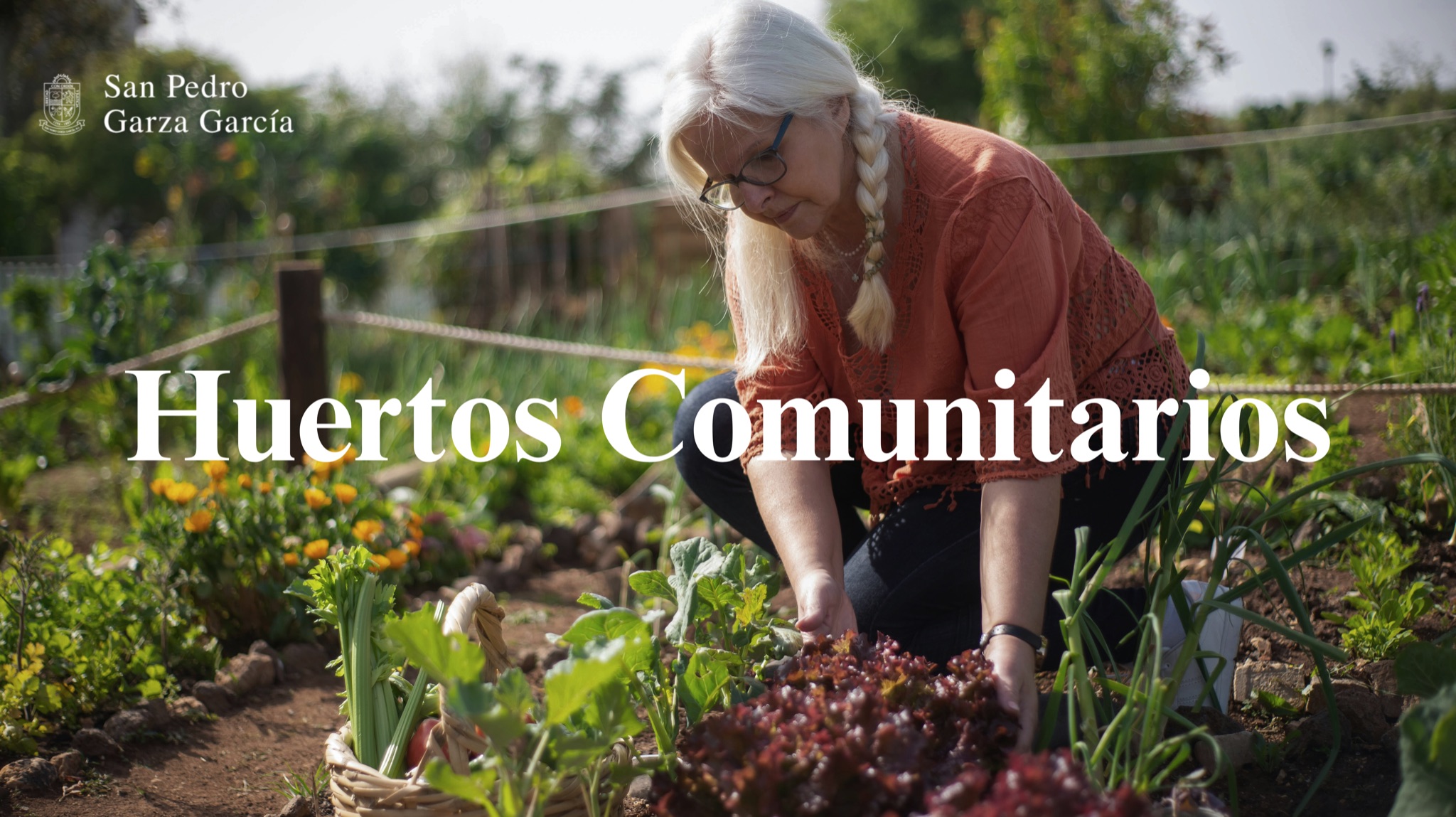 SPGG - Vive San Pedro - Huertos Comunitarios